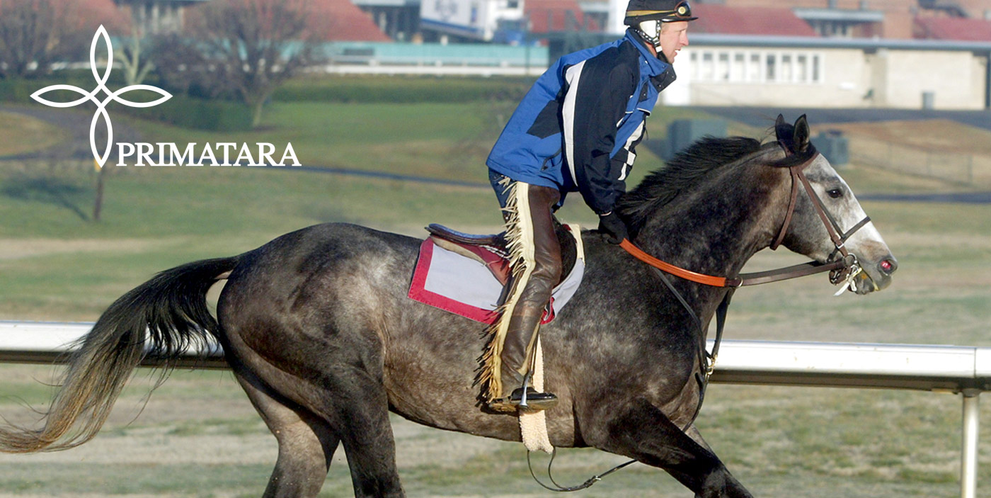 Primatara Horse Farm | Primatara – Raising Expectations