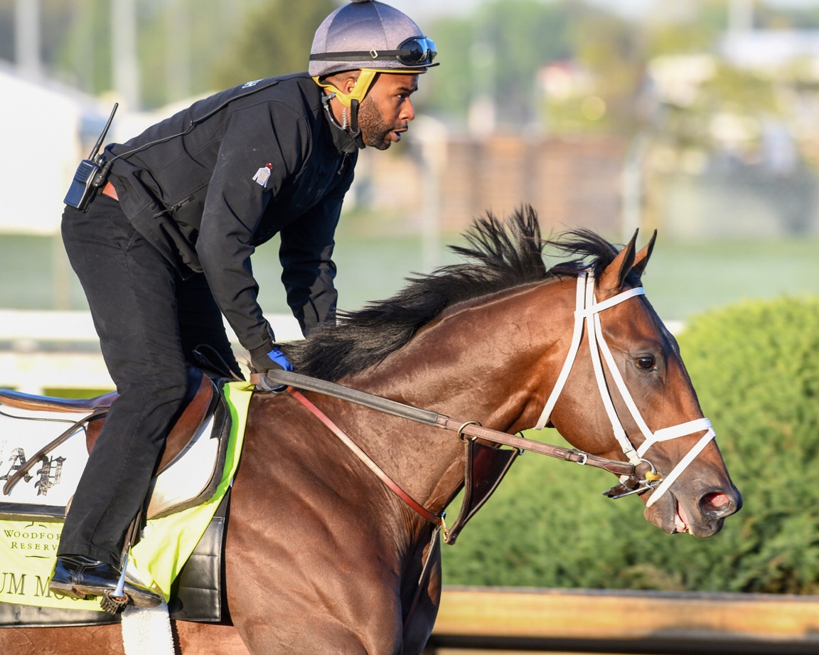 Primatara Horse Farm | Primatara – Raising Expectations